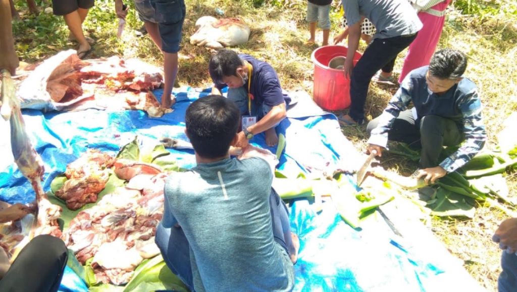 Pererat Silaturahmi Kahmi dan Forhati HMI Cabang Kendari Berqurban