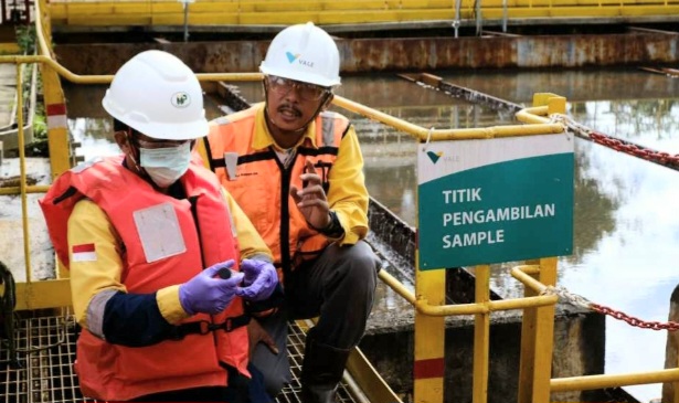 Semarak Hari Lingkungan Hidup Sedunia, PT Vale Tegaskan Komitmen Jangka Panjang Menghargai Bumi